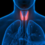 Gammagrafía Tiroidea con 99mTc ⋆ Gamma Scan | Clínica de Medicina Nuclear