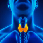 Gammagrafía Tiroidea con 99mTc ⋆ Gamma Scan | Clínica de Medicina Nuclear