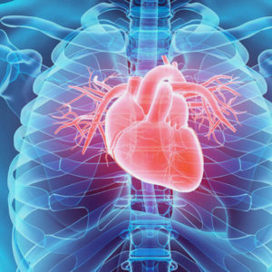 Ventriculografía Isotópica (MUGA) ⋆ Gamma Scan | Clínica de Medicina ...